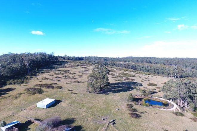 3 Real Estate Properties for Sale in Cann River, VIC, 3890 | Domain