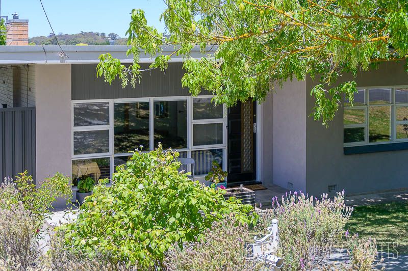 13 Netley Road, Mount Barker SA 5251 | Domain