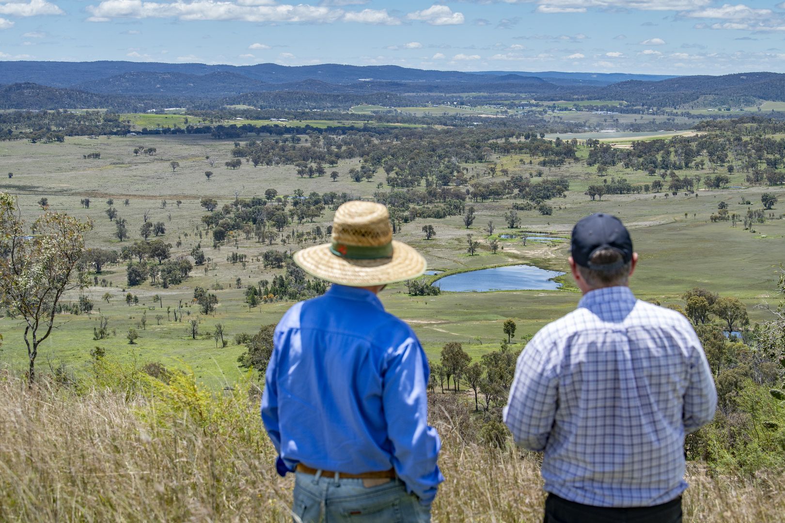 649 McMeniman Road, Ballandean QLD 4382 - Farm for Sale | Domain