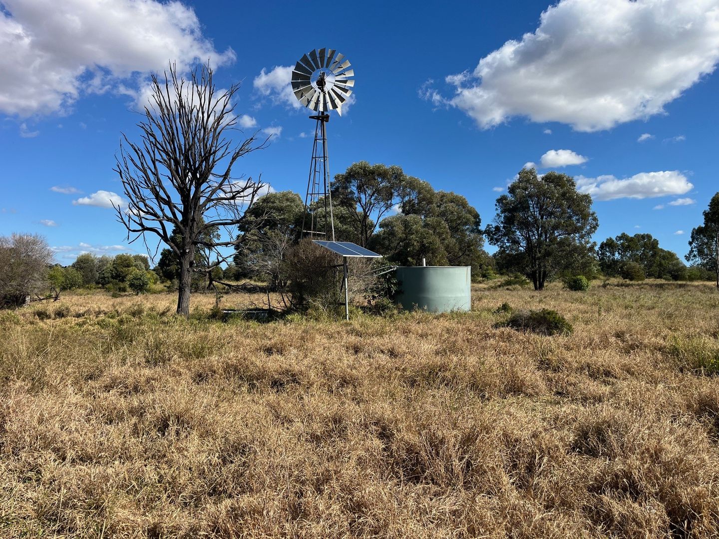 Kokotungo QLD 4702 - Grazing Property for Sale | Domain
