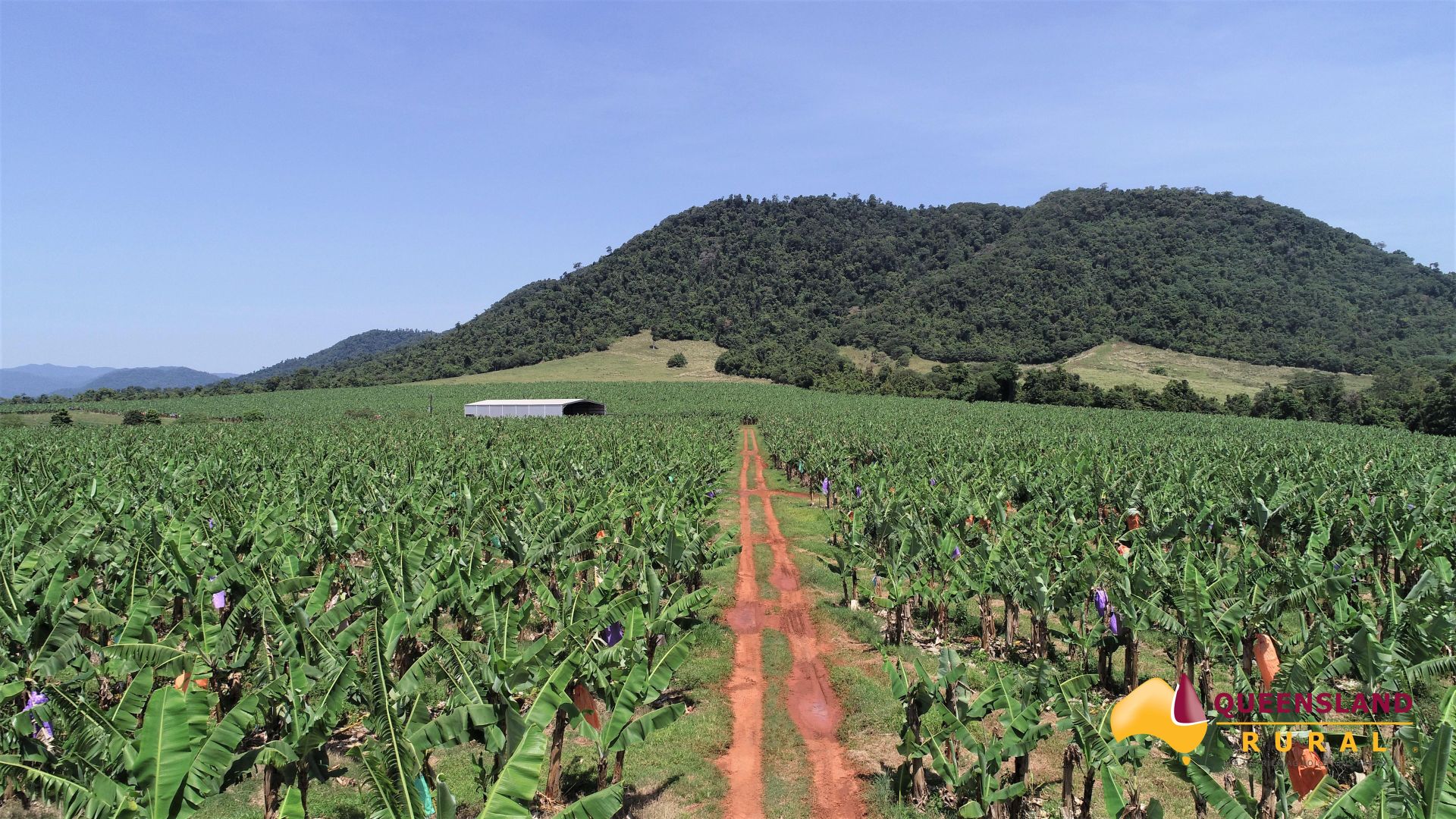 Utchee Creek QLD 4871 - Farm for Sale | Domain