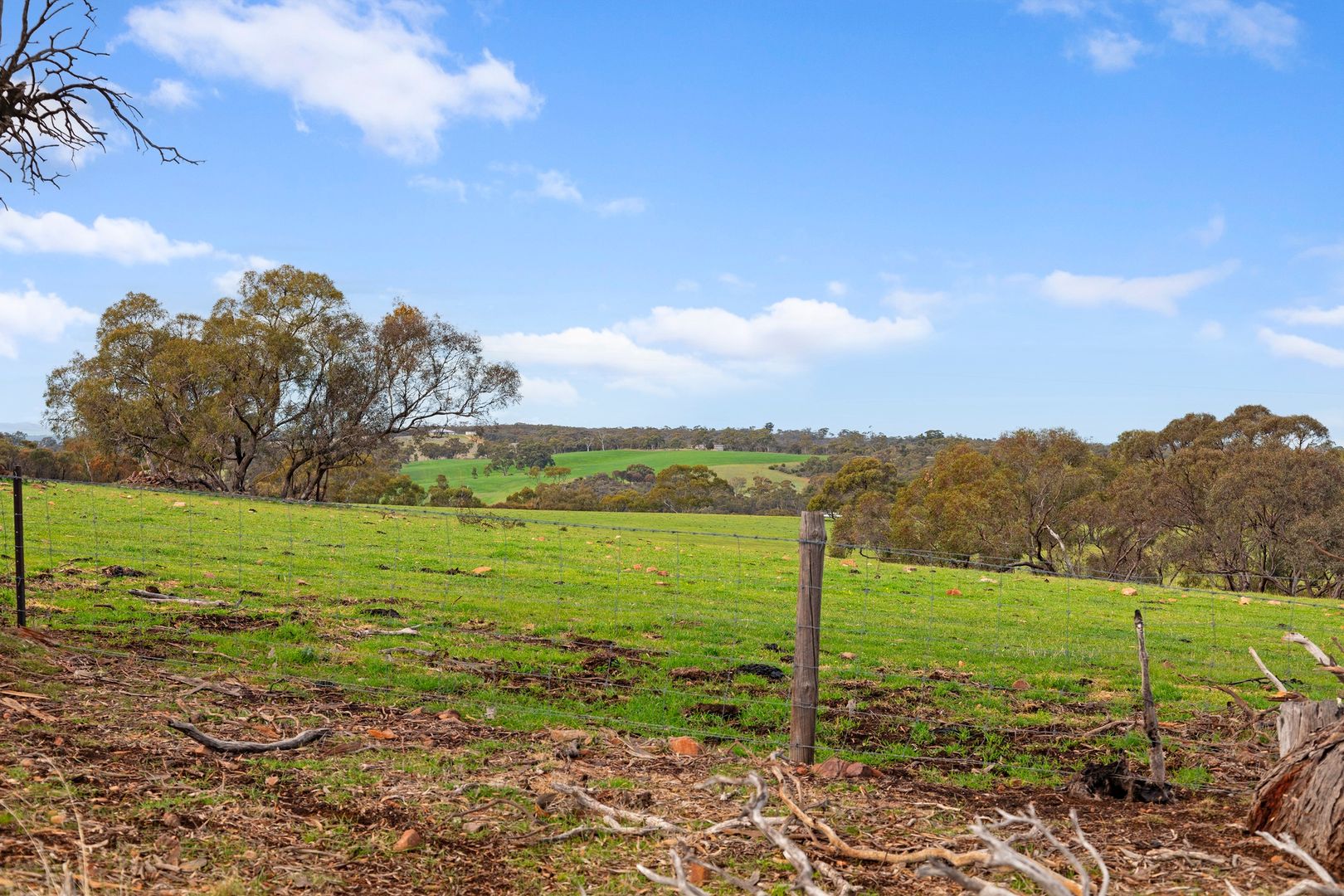 Proposed Allotment 7 Beetaloo Valley Road, Beetaloo Valley SA 5523 | Domain