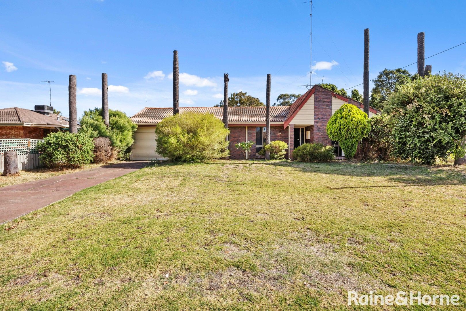 9 Bramble Grove, Carey Park WA 6230 | Domain