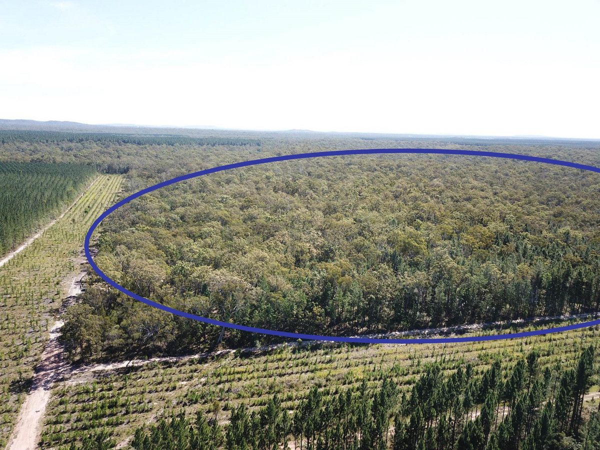 2 Tahiti Road, Talegalla Weir QLD 4650 | Domain