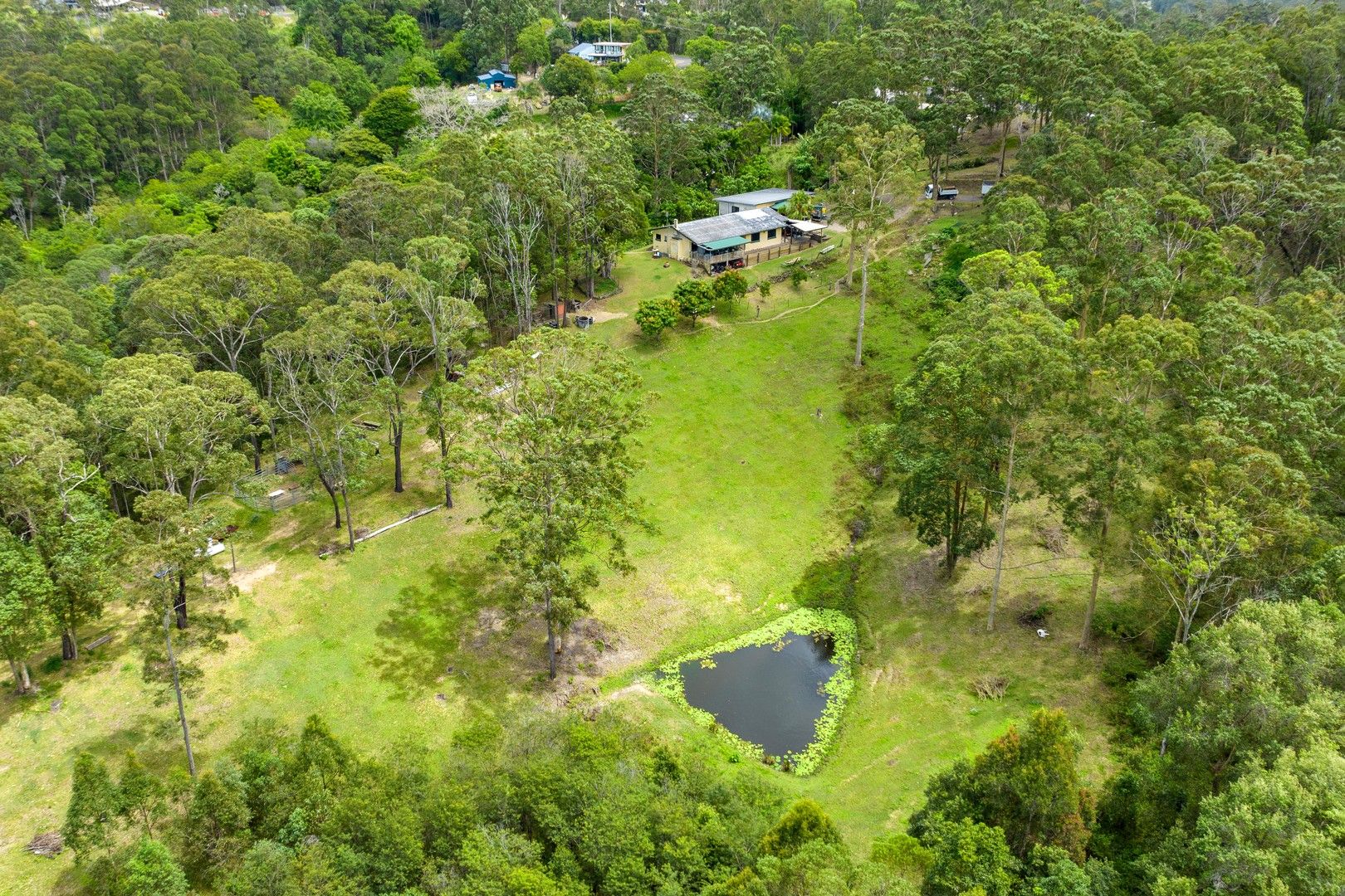 532 Wilson Road, Tanawha QLD 4556 | Domain