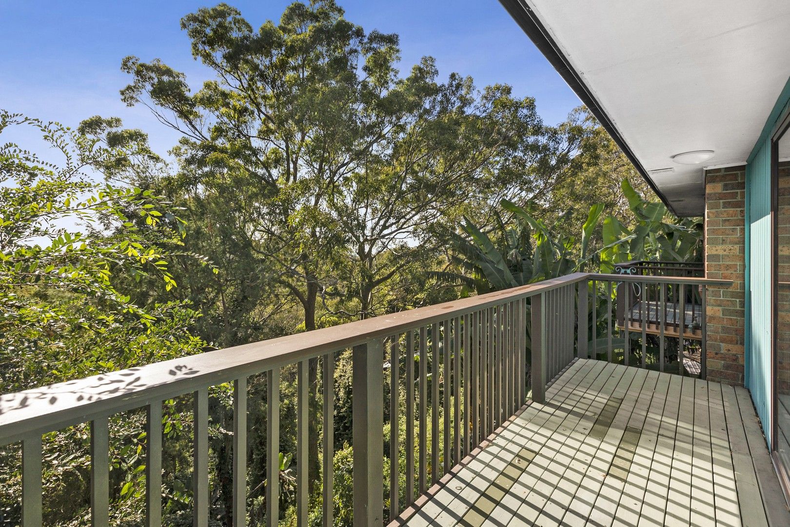 36 Riviera Avenue, Avalon Beach NSW 2107 - House For Rent | Domain