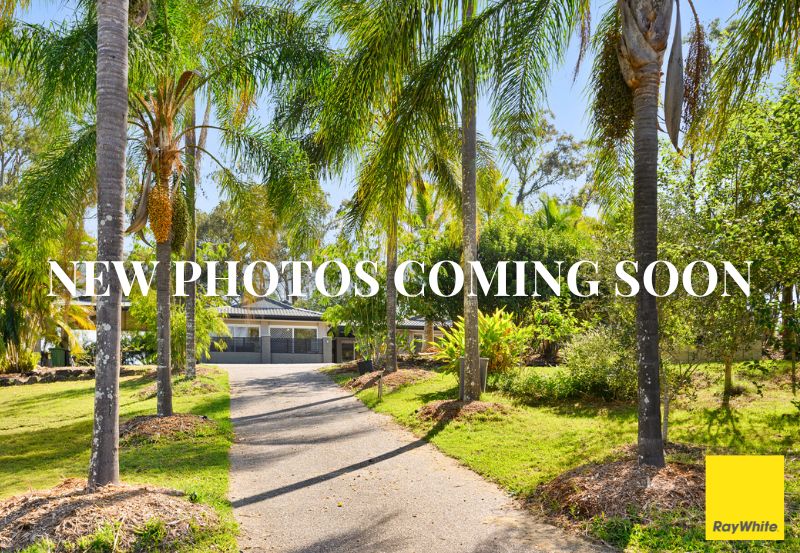 6 Eastern Court, Helensvale QLD 4212 - House For Rent | Domain