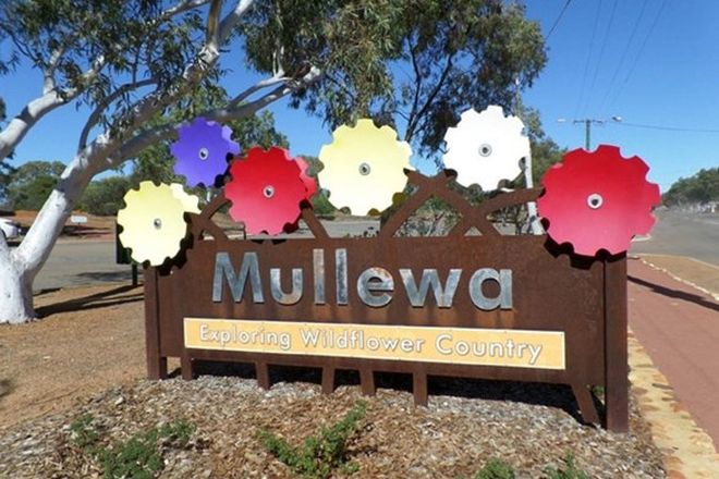 19 Real Estate Properties for Sale in Mullewa, WA, 6630 | Domain
