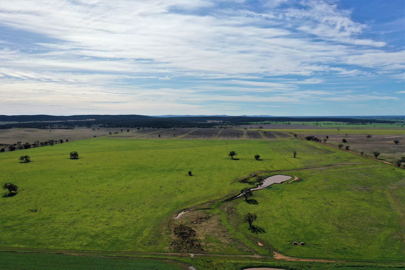 Binya NSW 2665 - Farm for Sale | Domain