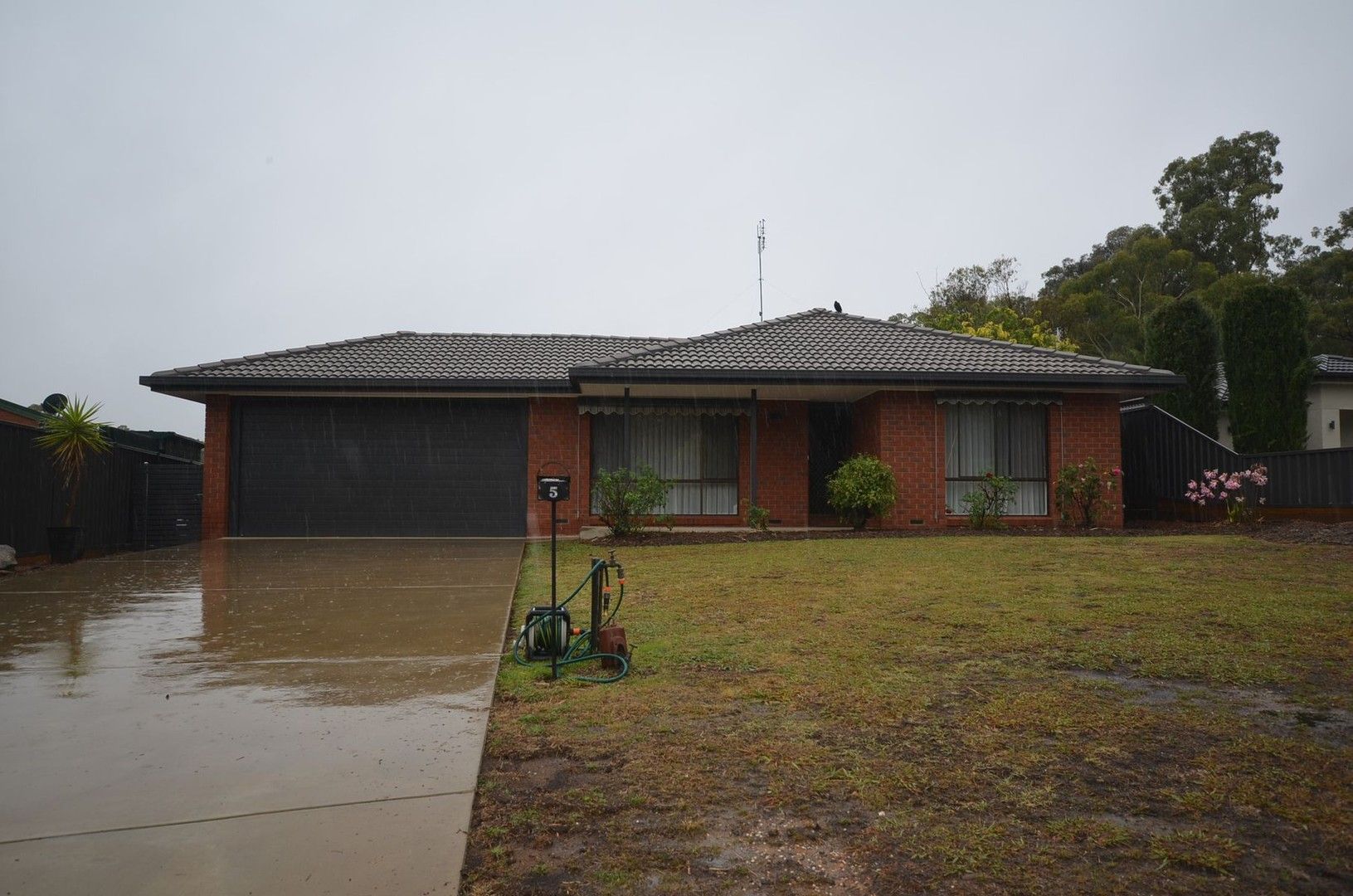 5 Edwina Court, Spring Gully VIC 3550 - House For Rent - $490 | Domain