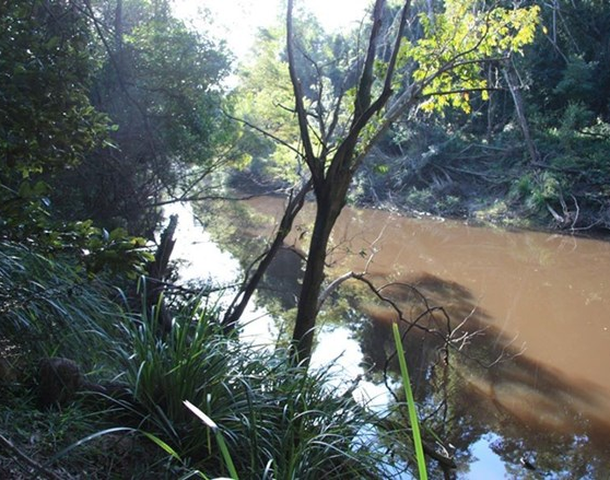 Lot 55 Messmate Road, Talegalla Weir | Property History & Address ...
