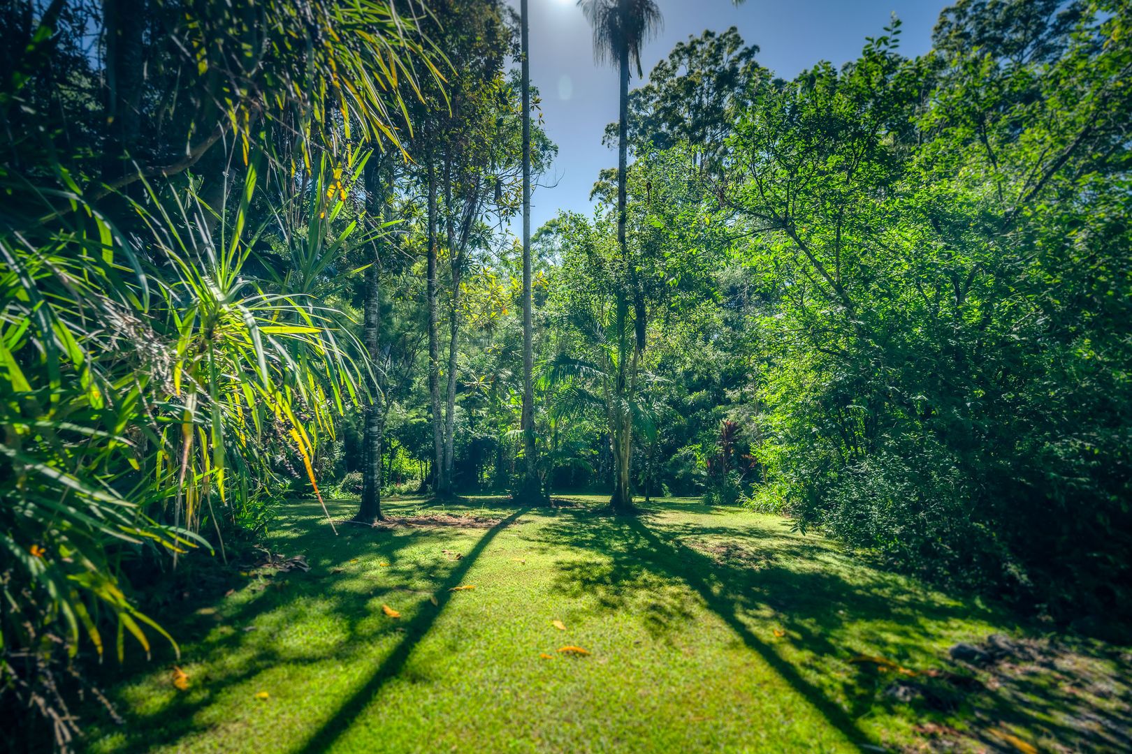 290 Roses Road, Bellingen NSW 2454 | Domain