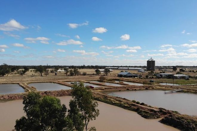 18 Real Estate Properties for Sale in Wallumbilla, QLD, 4428 | Domain