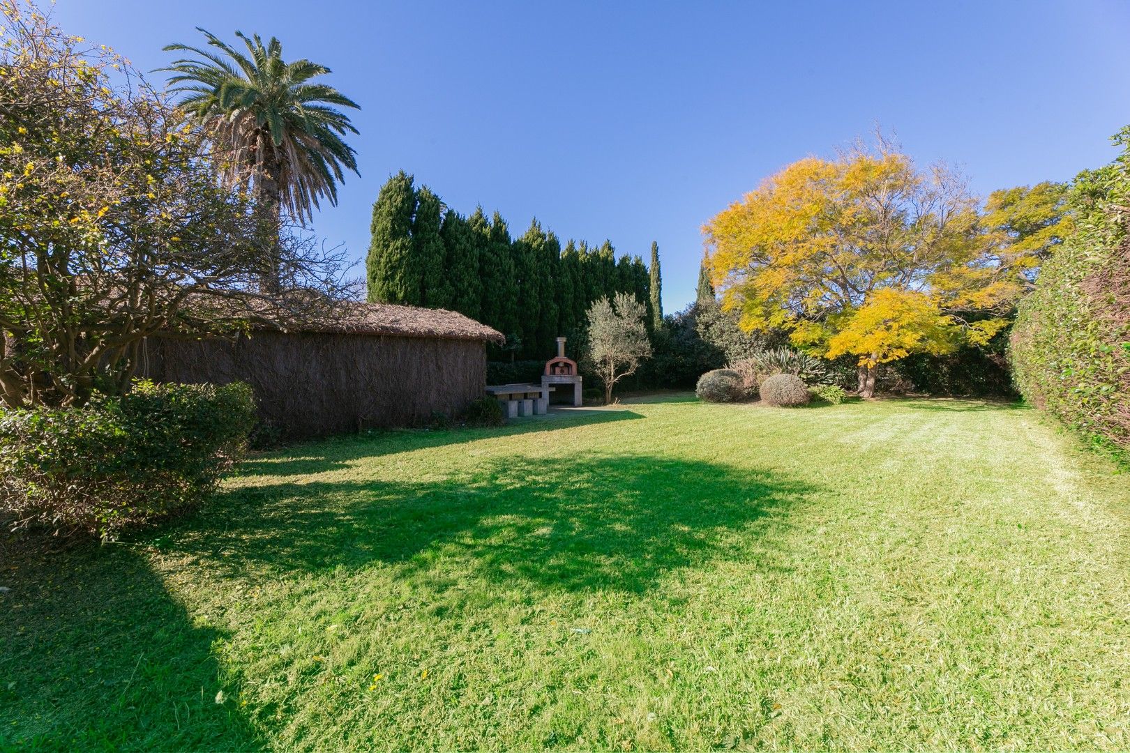 29 Boomerang Street, Haberfield NSW 2045 - House For Rent | Domain