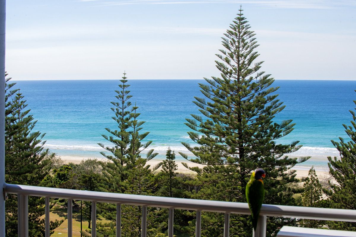 36/155 Old Burleigh Road, Broadbeach QLD 4218 | Domain