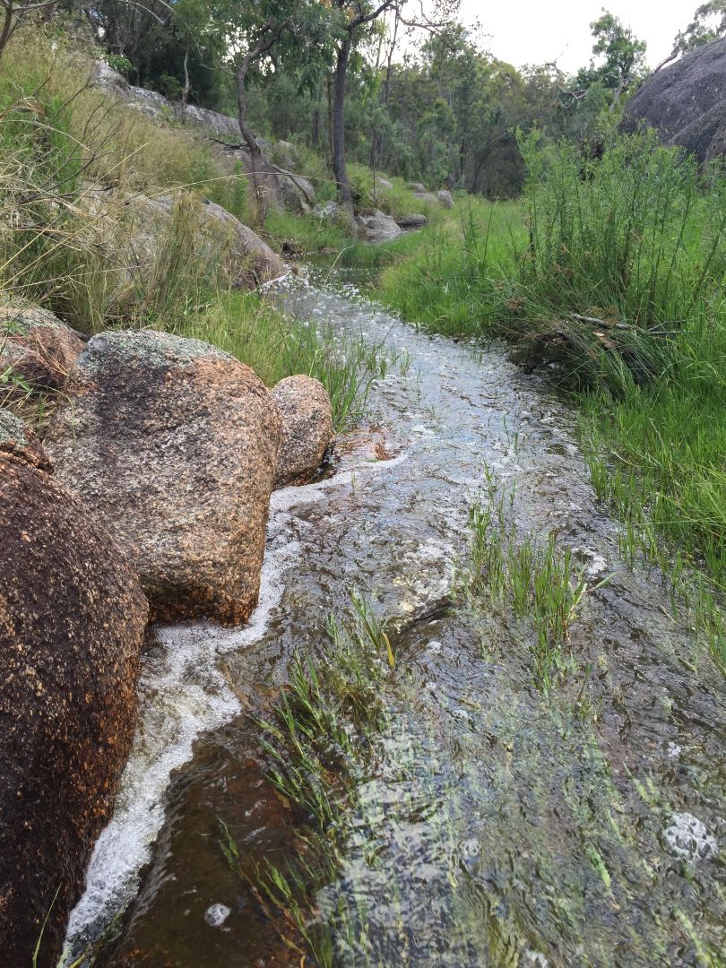 Lot 1717 Old Stanthorpe Rd, Cherry Gully QLD 4370 - House for Sale