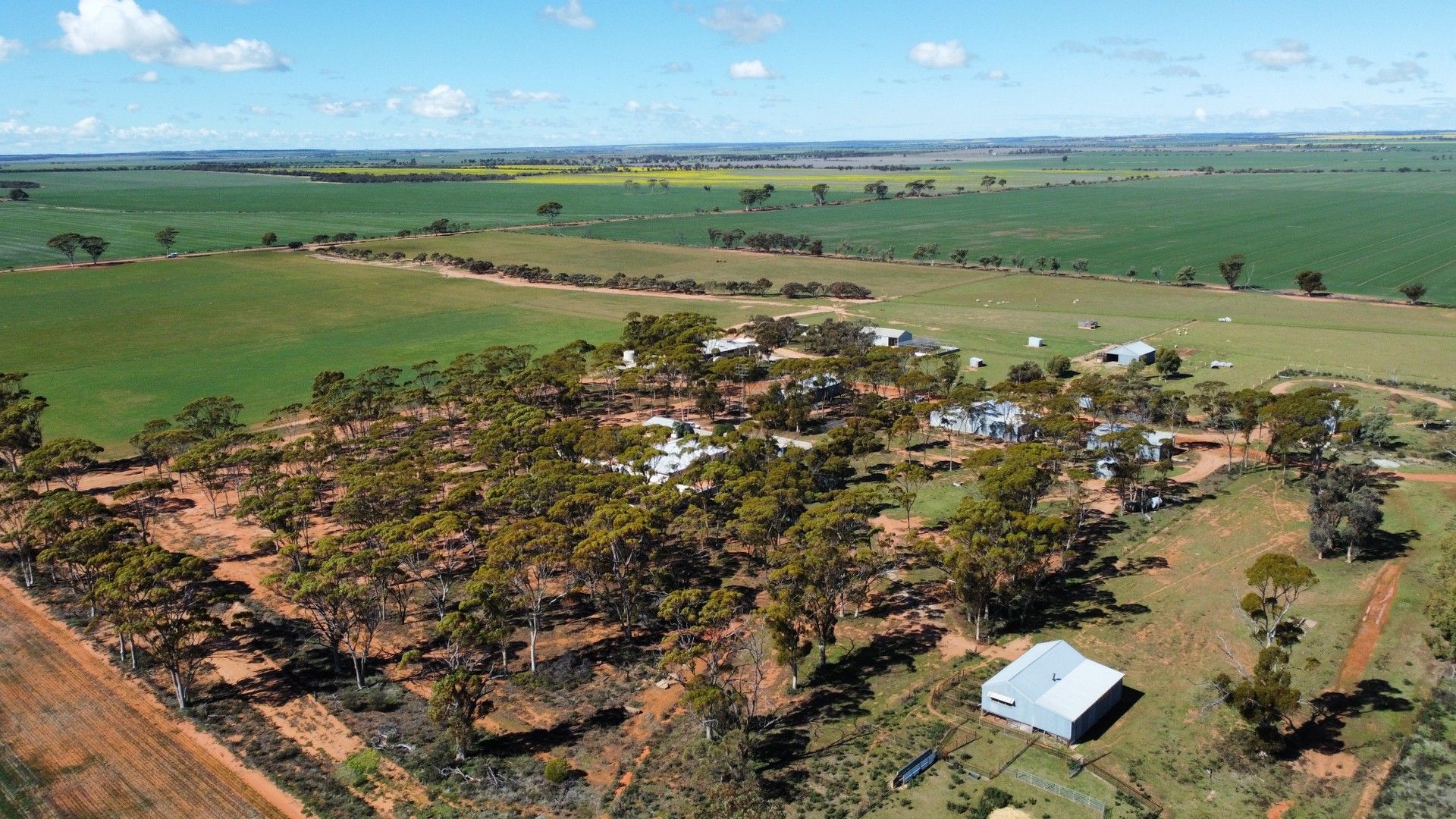 41 LAST ROAD, Nukarni WA 6480 - House for Sale | Domain