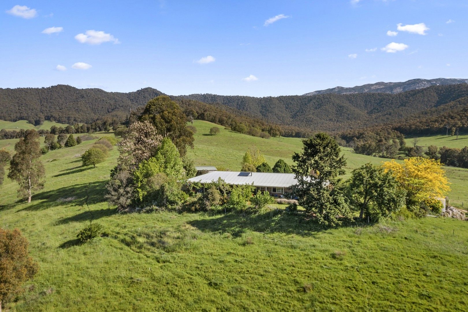 285 Wobonga Lane, Eurobin VIC 3739 - House for Sale - $5,000,000