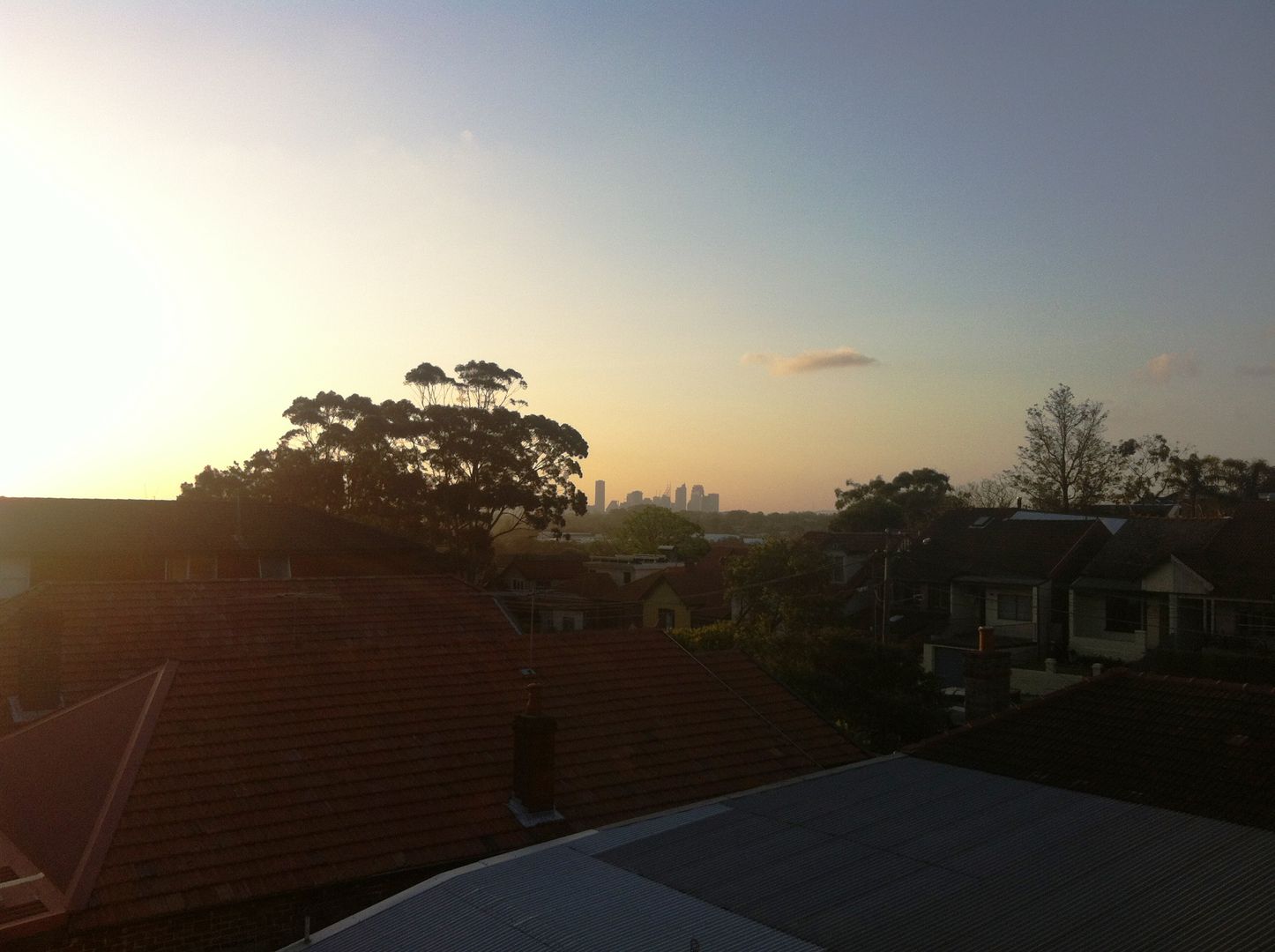 8/19 Hooper Street, Randwick NSW 2031 - Apartment For Rent - $750 | Domain