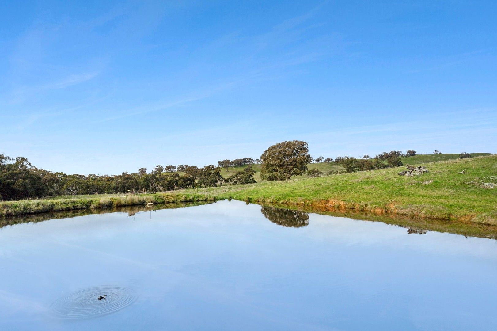 679 Dallistons Road, Barfold VIC 3444 | Domain