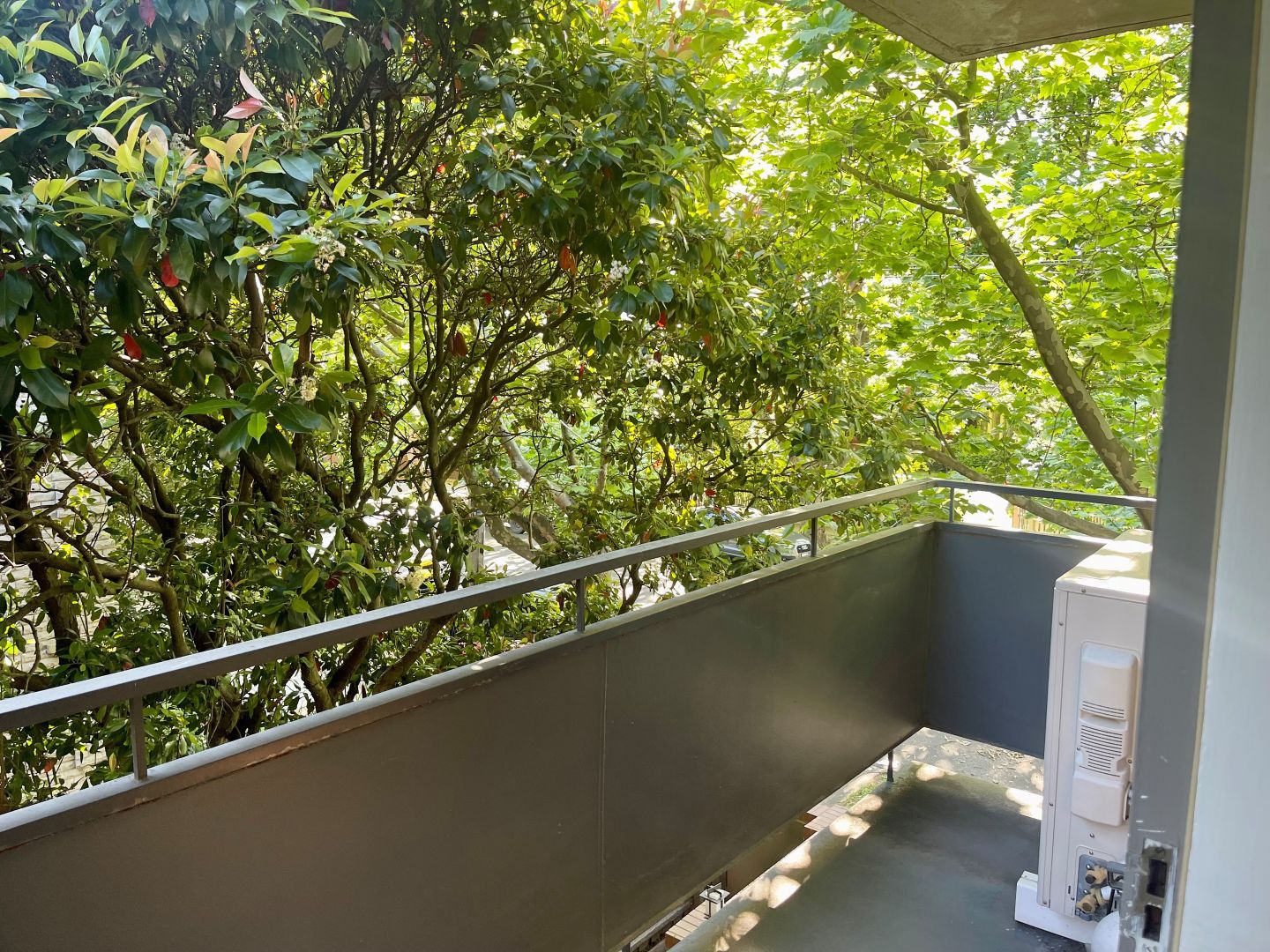 12/39 Rockley Street, South Yarra VIC 3141 - Apartment For Rent | Domain