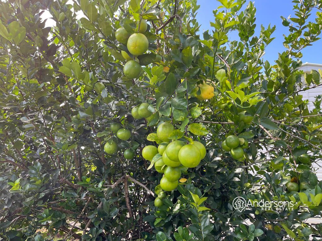 3 Genoa Court, South Mission Beach QLD 4852 | Domain