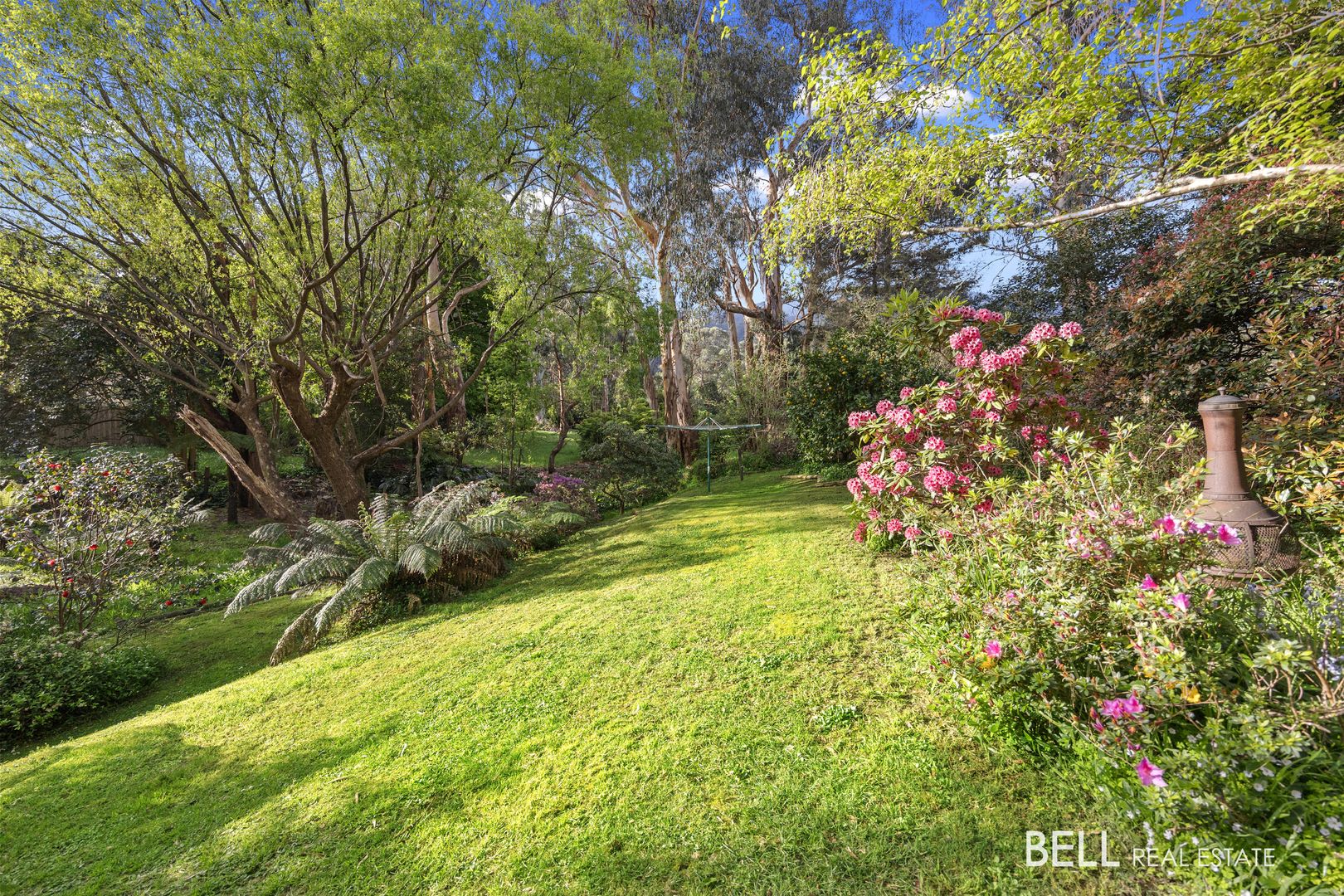 12 River Road, Millgrove VIC 3799 | Domain