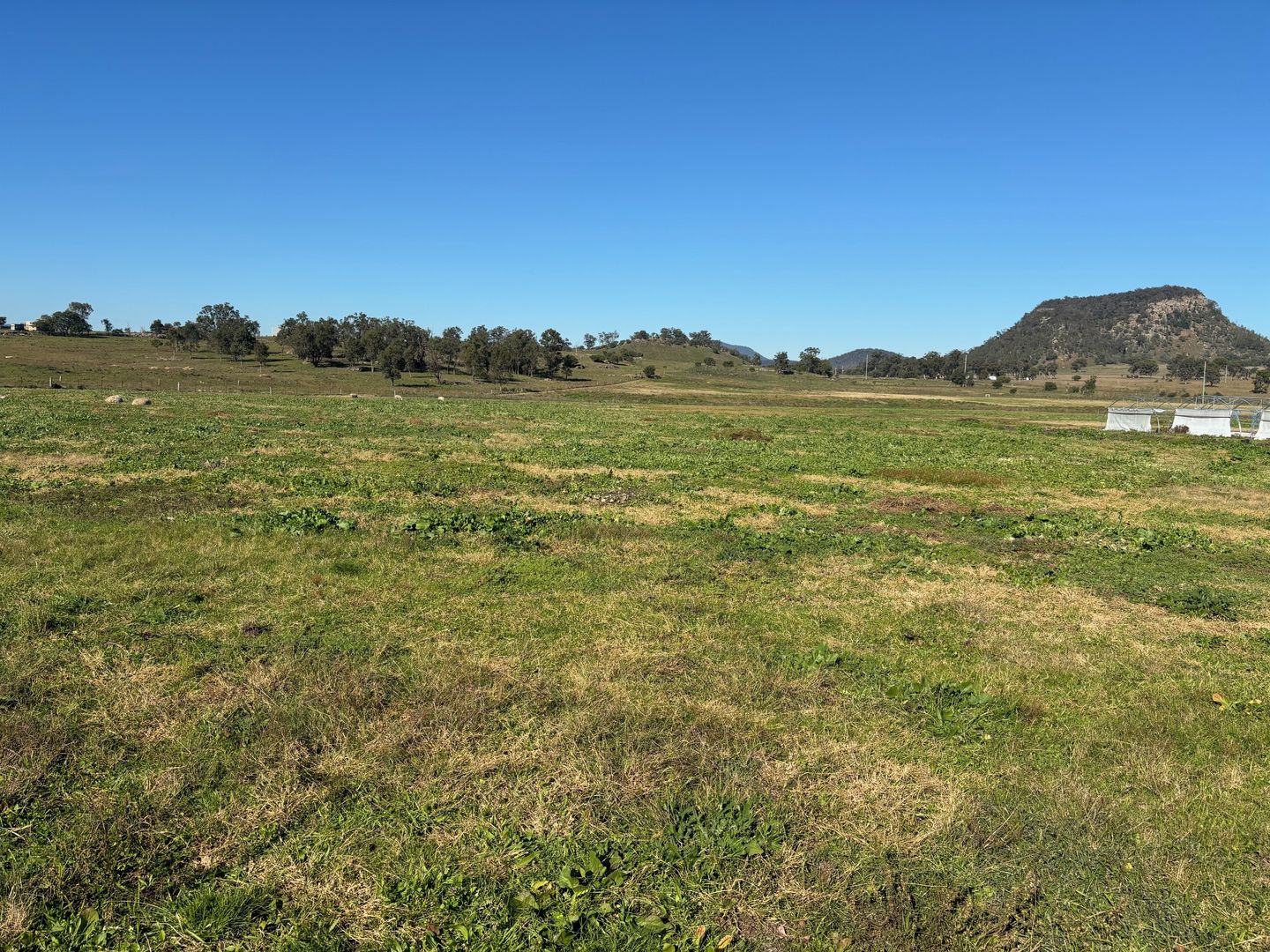 3004 Golden Highway, Gungal NSW 2333 - House for Sale | Domain