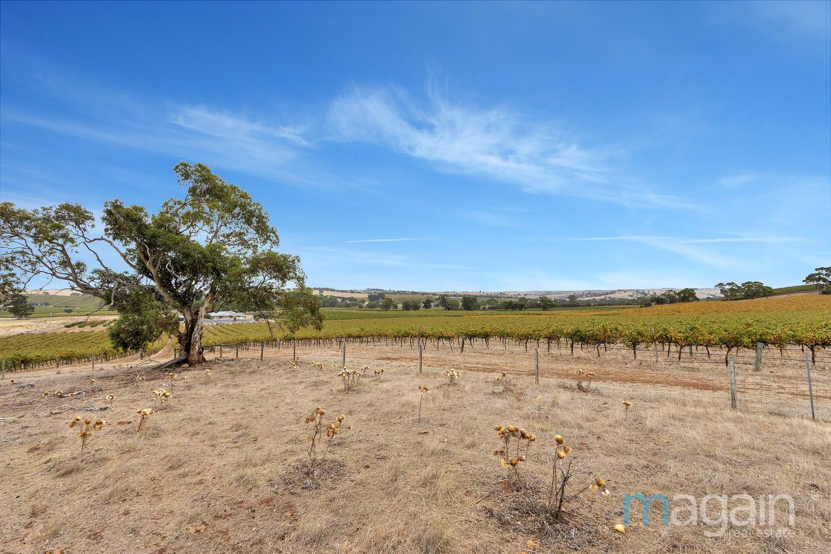 1 Rosedale Road, Rosedale SA 5350 - Vacant Land for Sale | Domain