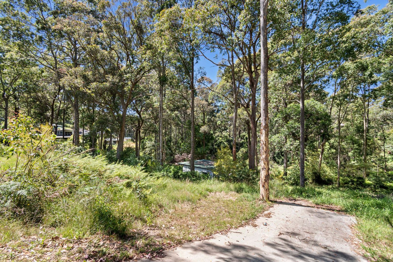 16 Lewana Close, Lilli Pilli NSW 2536 | Domain