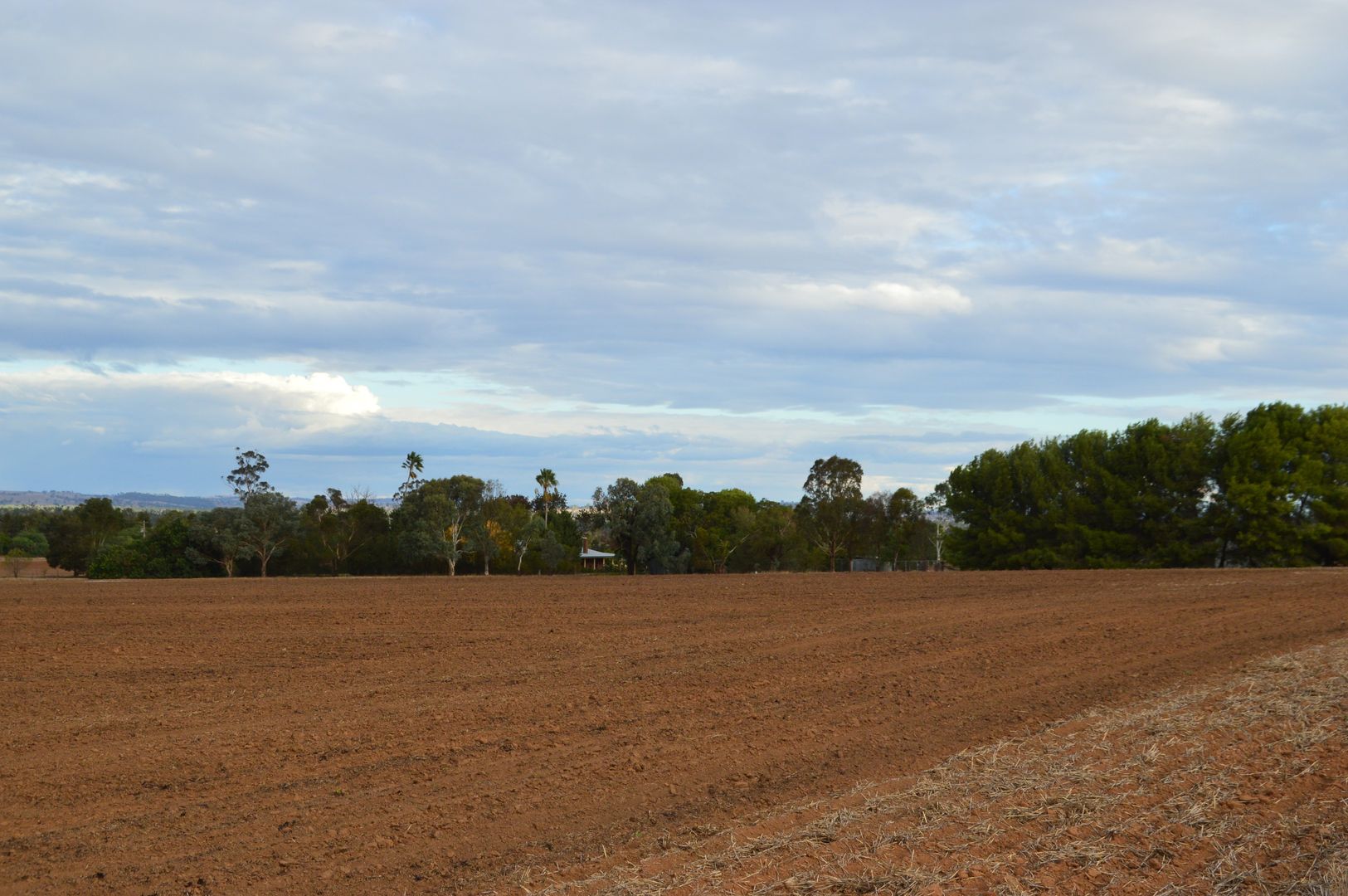 Rosehill 66 East Bomen Rd, Wagga Wagga NSW 2650 - Farm for Sale ...