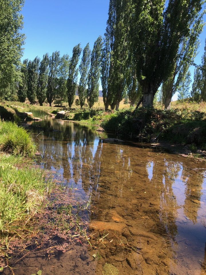 324-alcock-collins-road-bemboka-property-history-address-research