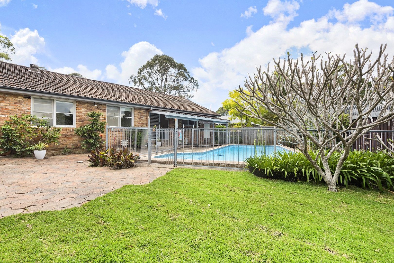 101 Prahran Avenue, Davidson NSW 2085 - House For Rent | Domain