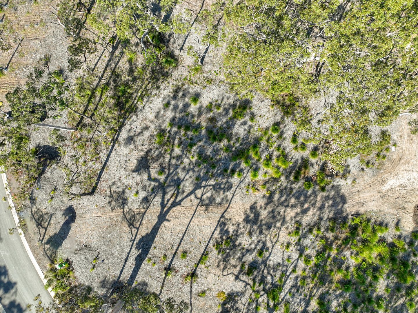 22 Freetail Drive, Murrays Beach NSW 2281 | Domain