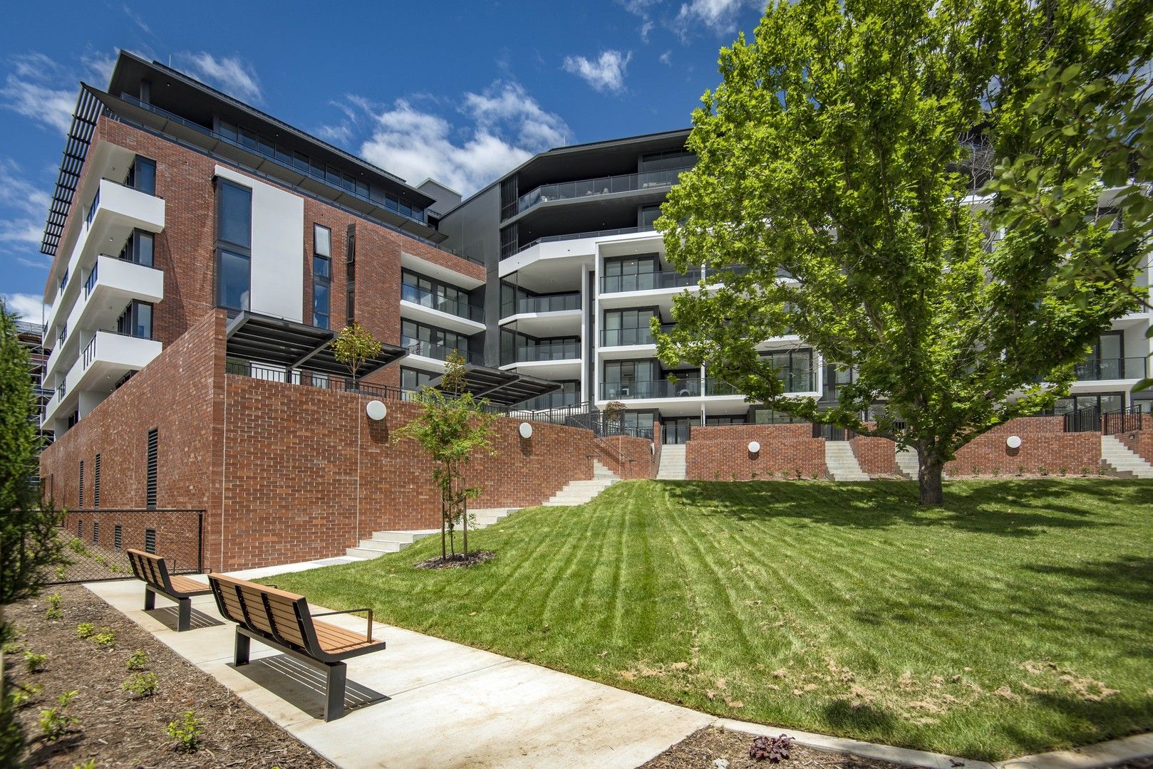 59/7 Light Street, Griffith ACT 2603 - Apartment For Rent | Domain
