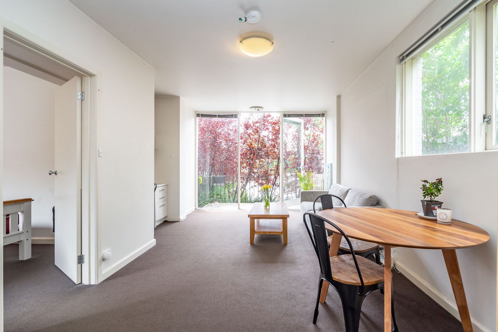 15/259 Domain Road, South Yarra VIC 3141 - Apartment For Rent | Domain