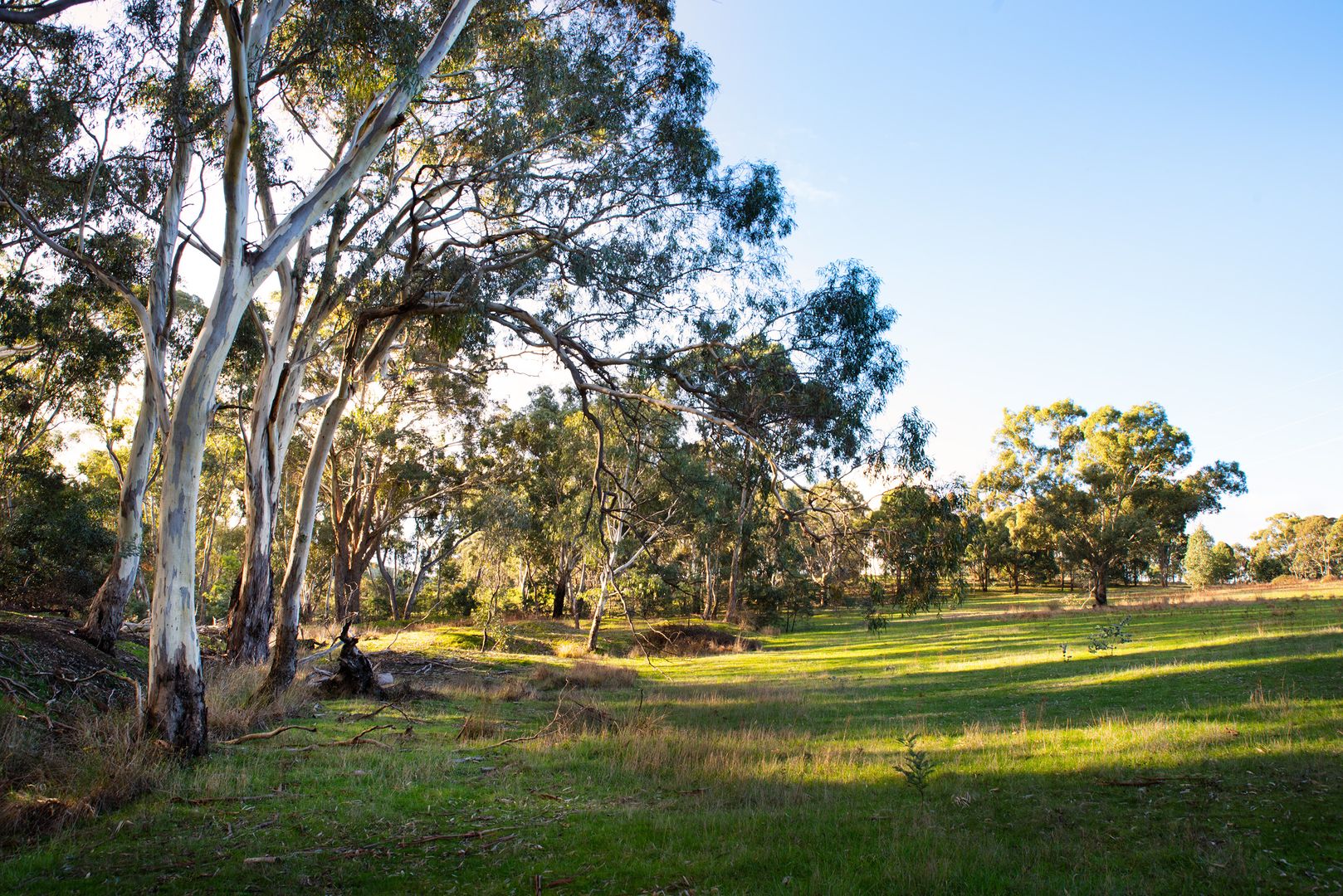 2/403 Yandoit-Werona Road, Franklinford VIC 3461 - House for Sale