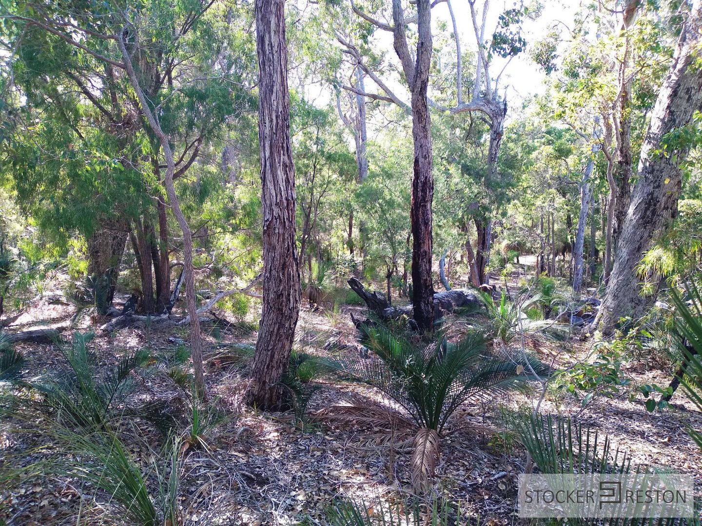 14 Hale Avenue, Molloy Island WA 6290 | Domain