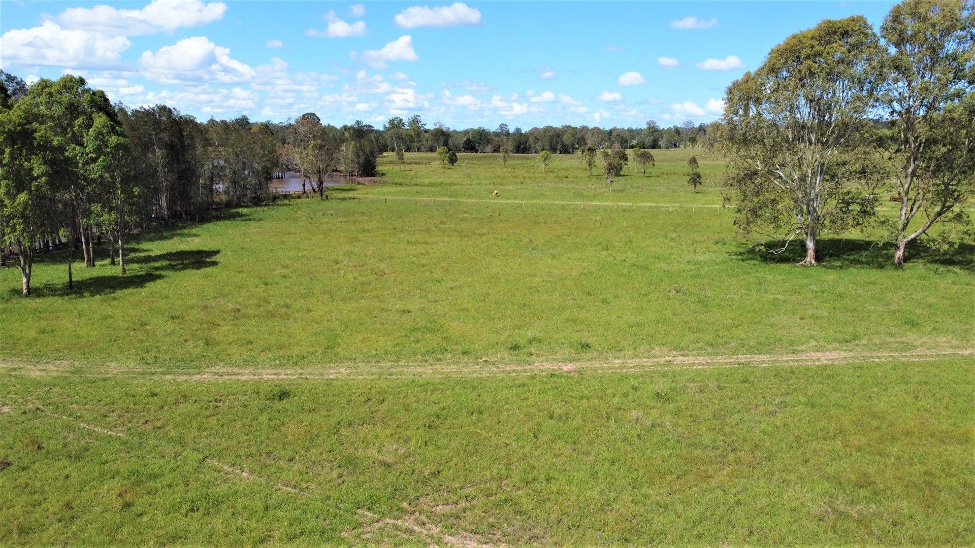96 Holleys Lane, Yorklea NSW 2470 - Vacant Land for Sale | Domain