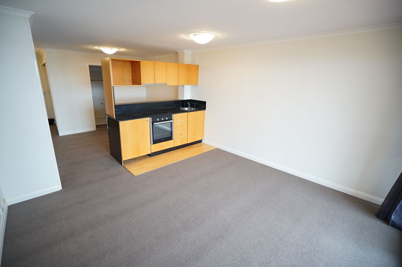 1004/508 Riley St, Surry Hills NSW 2010 - Studio For Rent | Domain