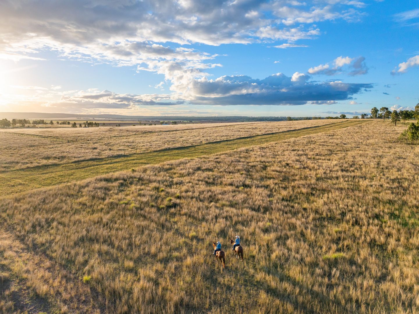 1147 Willowvale Road, Massie QLD 4370 - Rural Lifestyle Property for ...