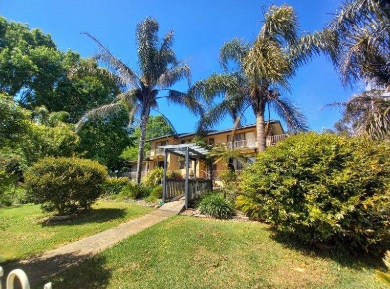 641 Tyringham Road, North Dorrigo NSW 2453 | Domain