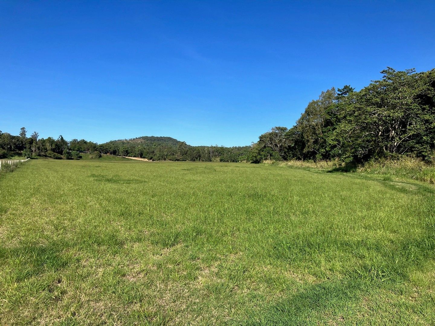 46 Websters Road, Gargett QLD 4741 - Specialist Farm for Sale - $1,450,000