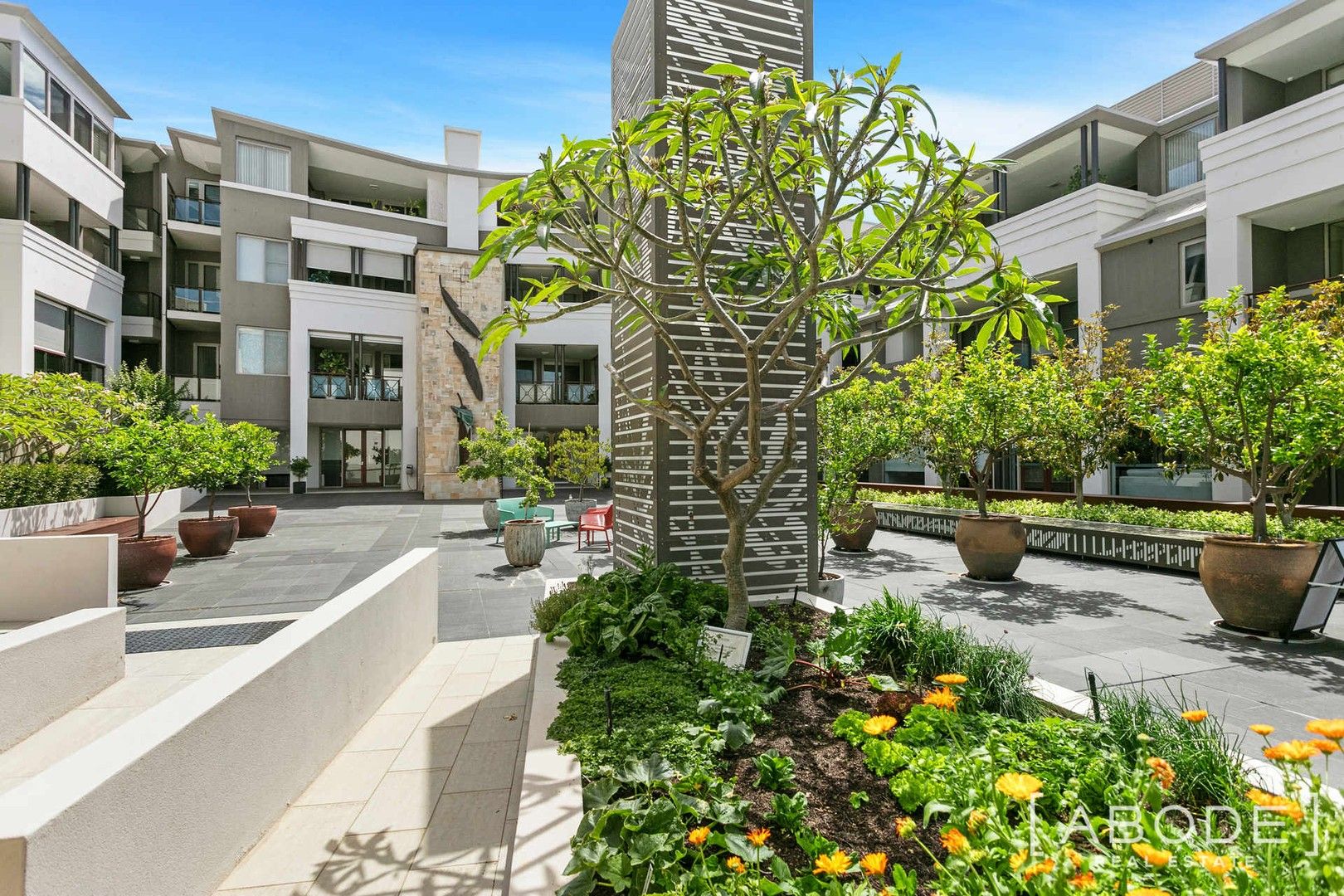 319/40 St Quentin Avenue, Claremont WA 6010 - Apartment For Rent ...