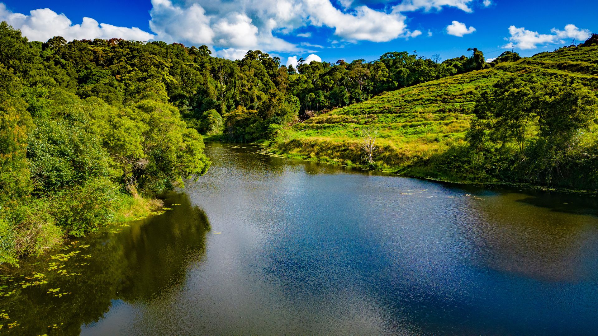 60 Keir Road, Bellthorpe QLD 4514 | Domain