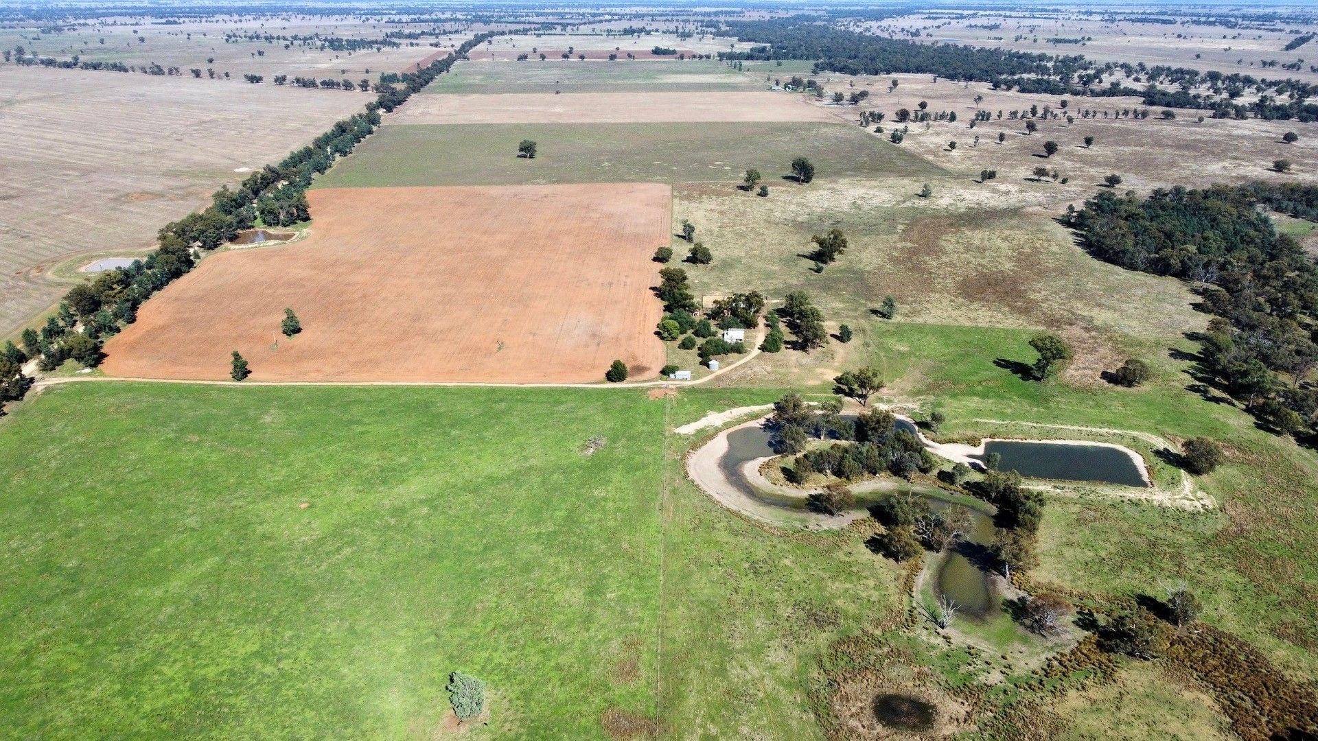 Longhurst Road, Bribbaree NSW 2594 - House for Sale | Domain