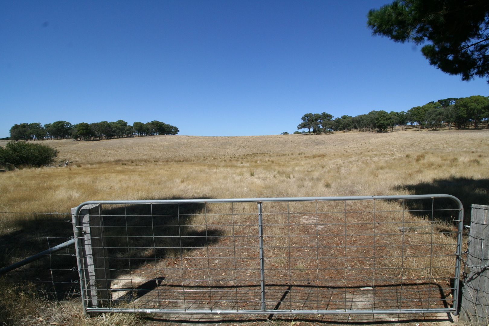 270 Church Road, Trawalla | Property History & Address Research | Domain