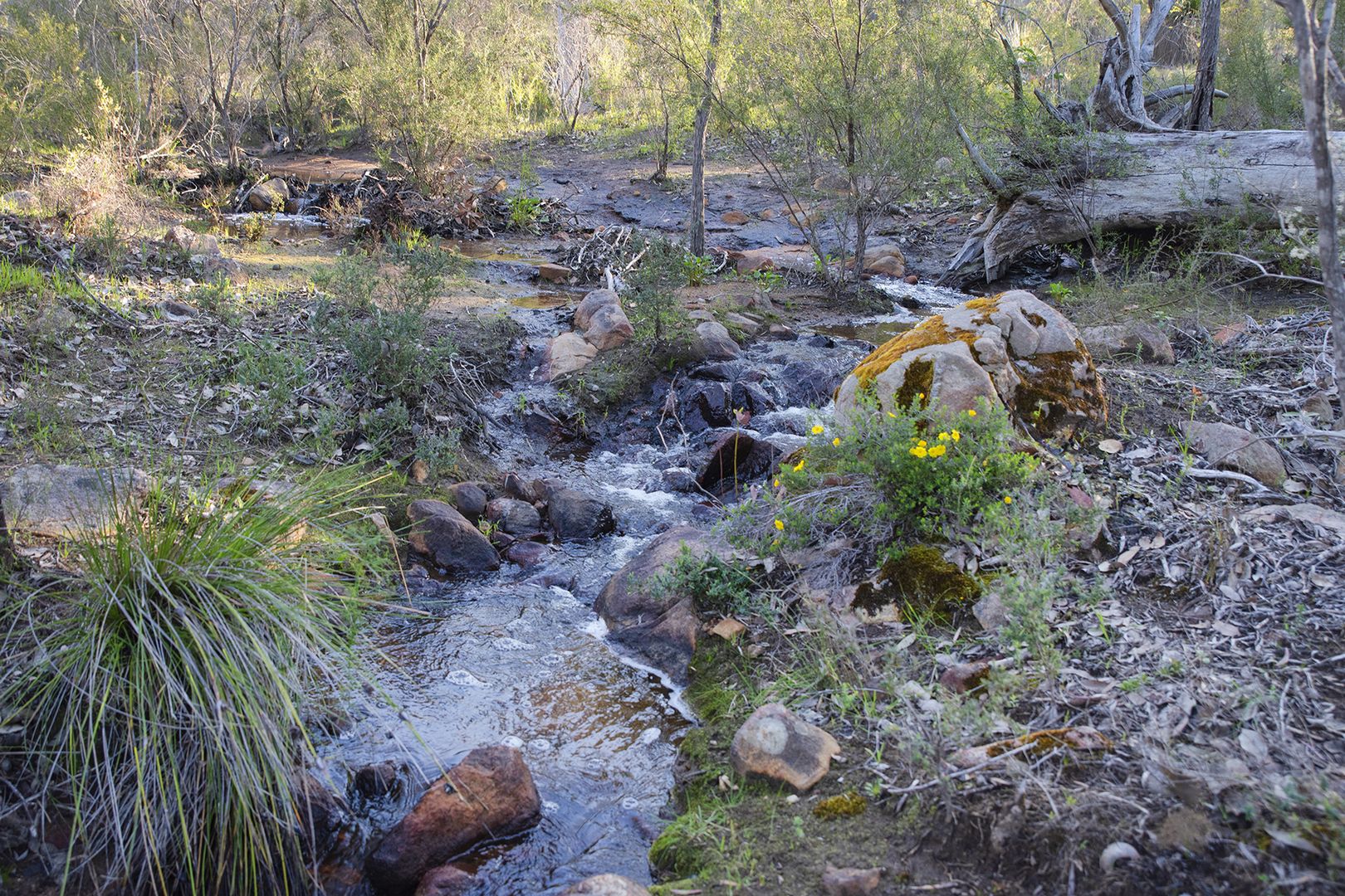 15 Curlew Rise, Quindalup WA 6281 | Domain