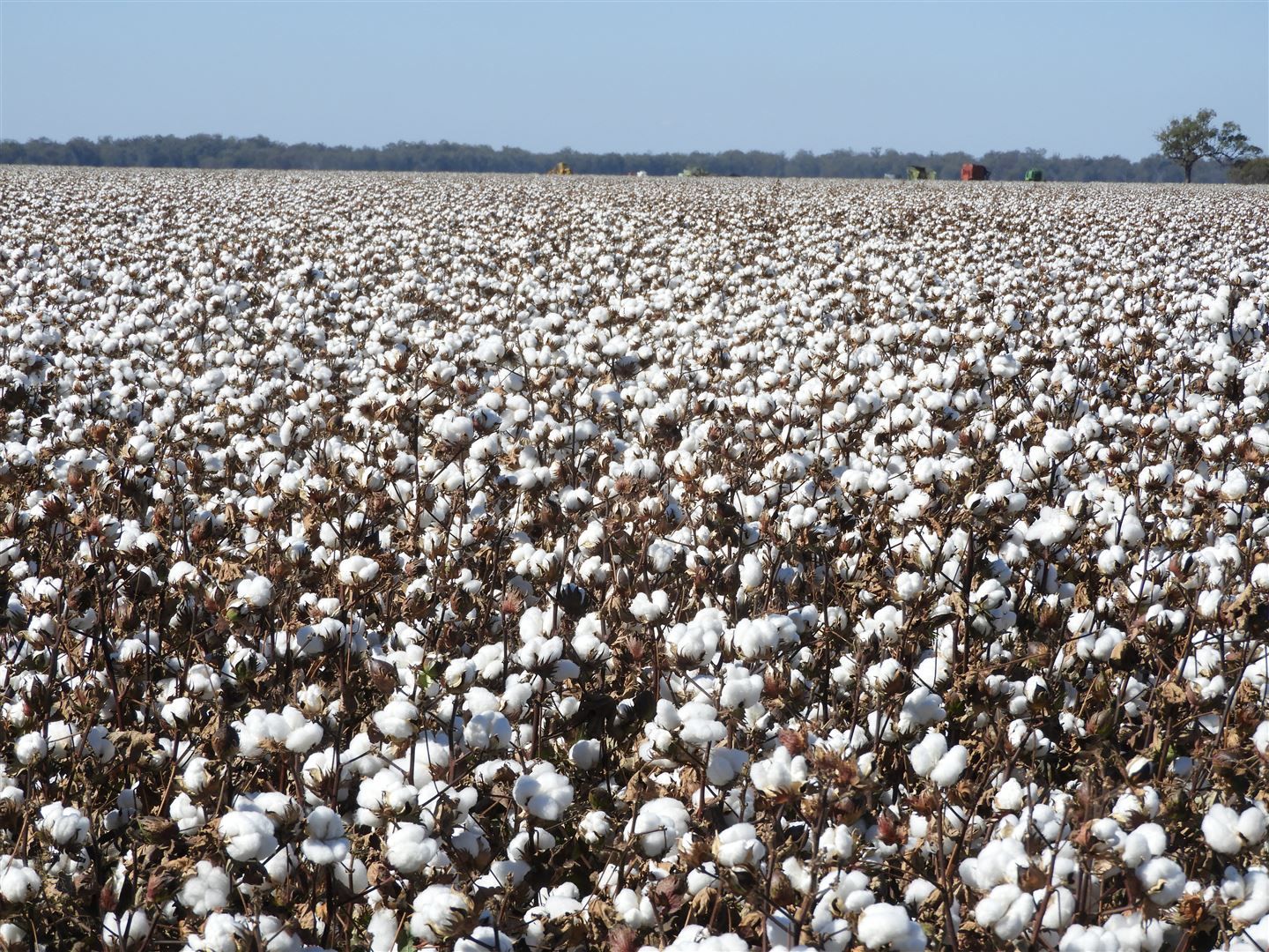 6966 Carinda Road, Mount Foster | Property History & Address Research ...