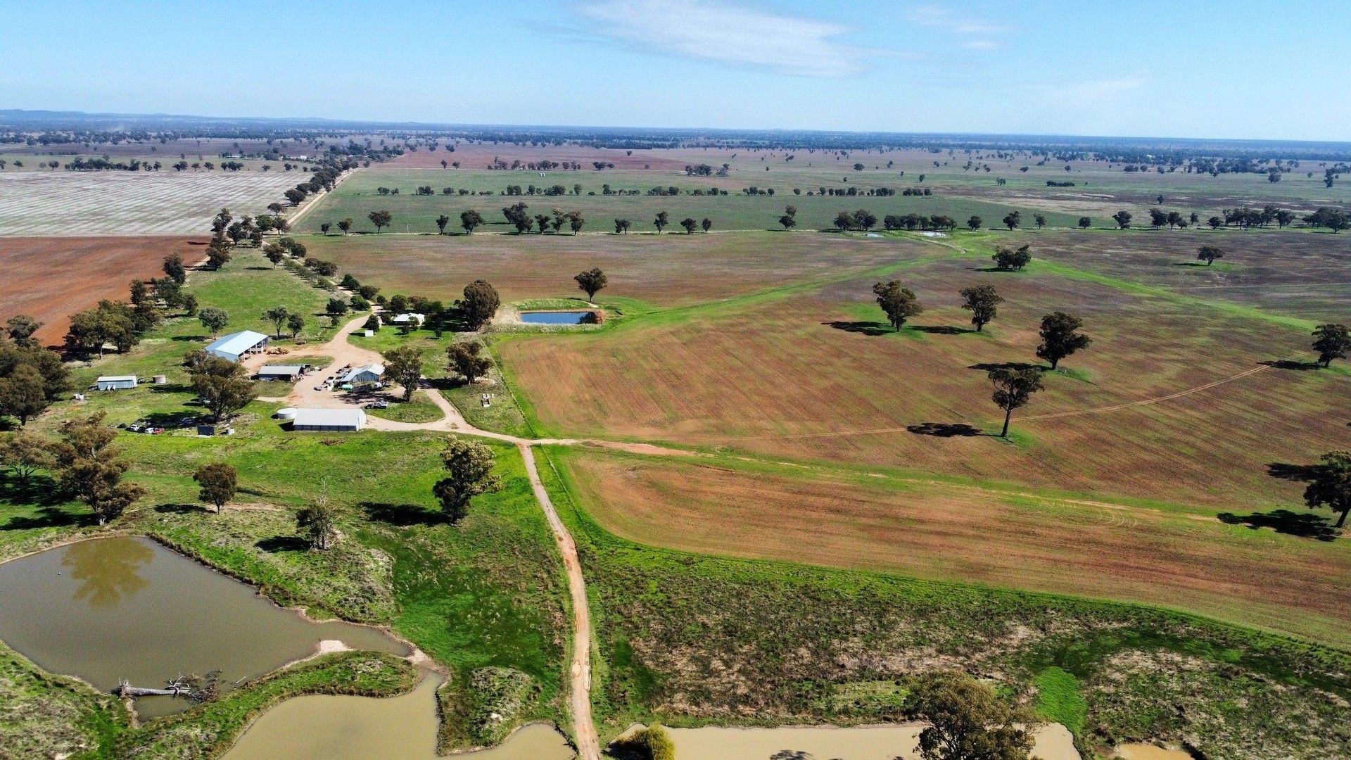 Longhurst Road, Bribbaree NSW 2594 - House for Sale | Domain